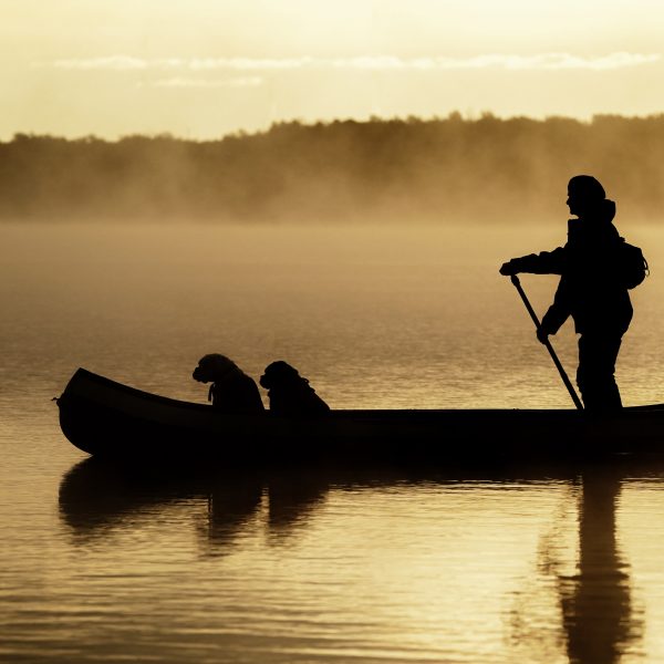 Pure Blaze Pre-Rolls – Real. Good. Joint.